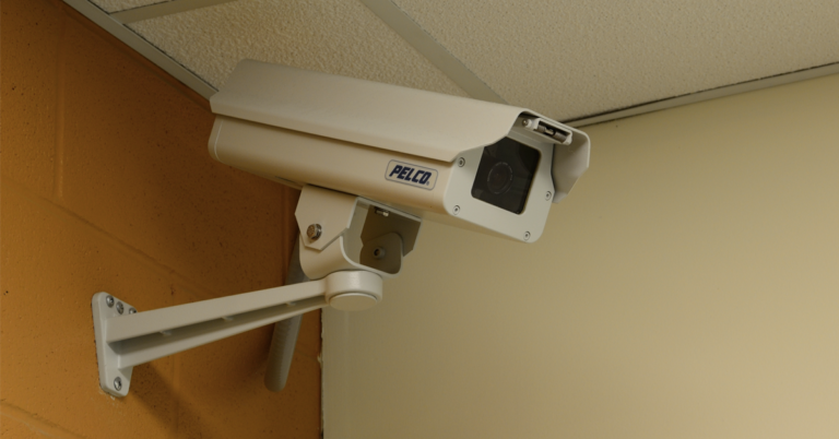 Neutered: The Rise and Fall of the Dog Pound Gang