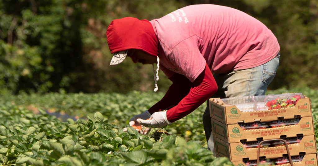 Gerawan sues Maine pension system for details behind Prima Wawona's ...