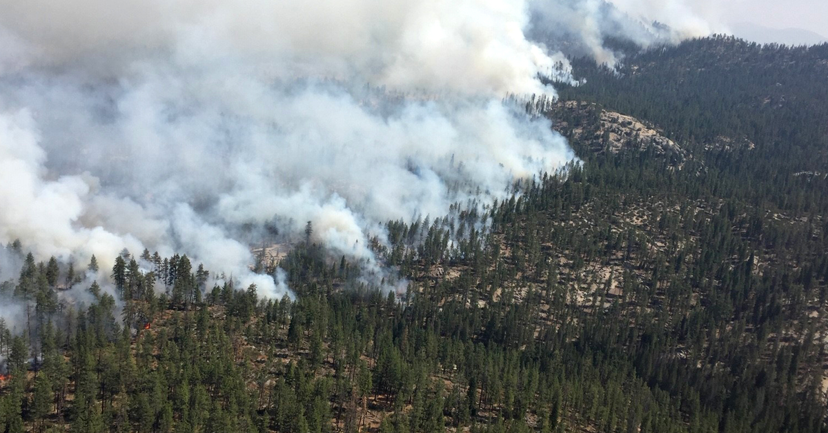 WILDFIRES: SQF Complex Fire reaches 75% containment