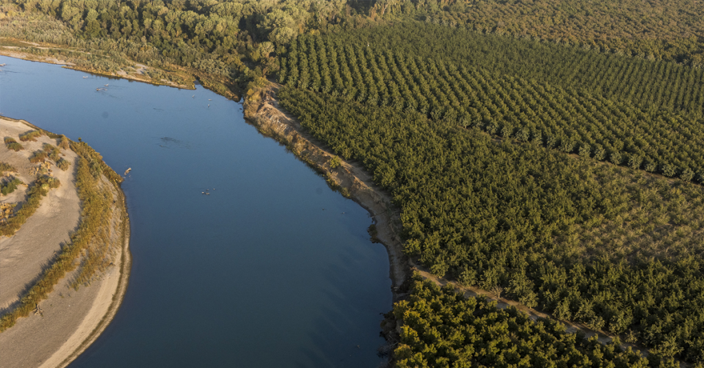 Lawsuit: Assemi family's financial teetering, chief's failing health ...