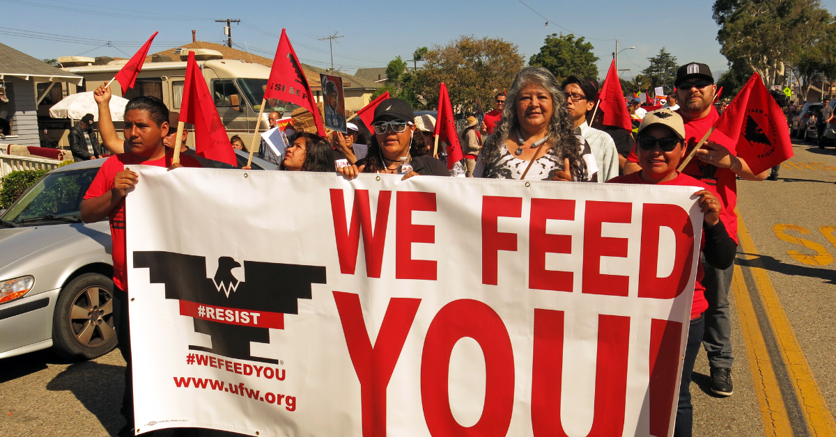 Deep Portuguese, farming roots at the heart of Devin Nunes’ new wine label